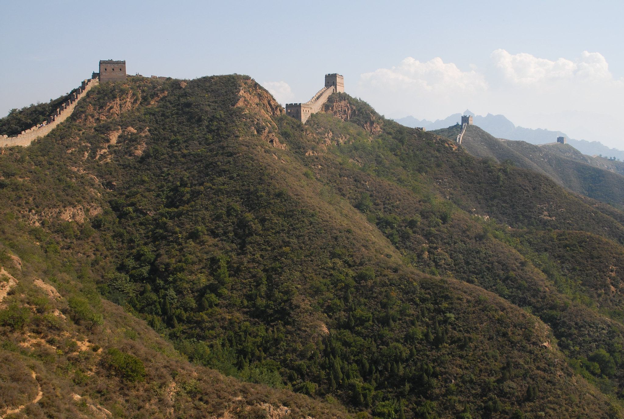 Part 2: Evaluating China's Tree-Planting Activity